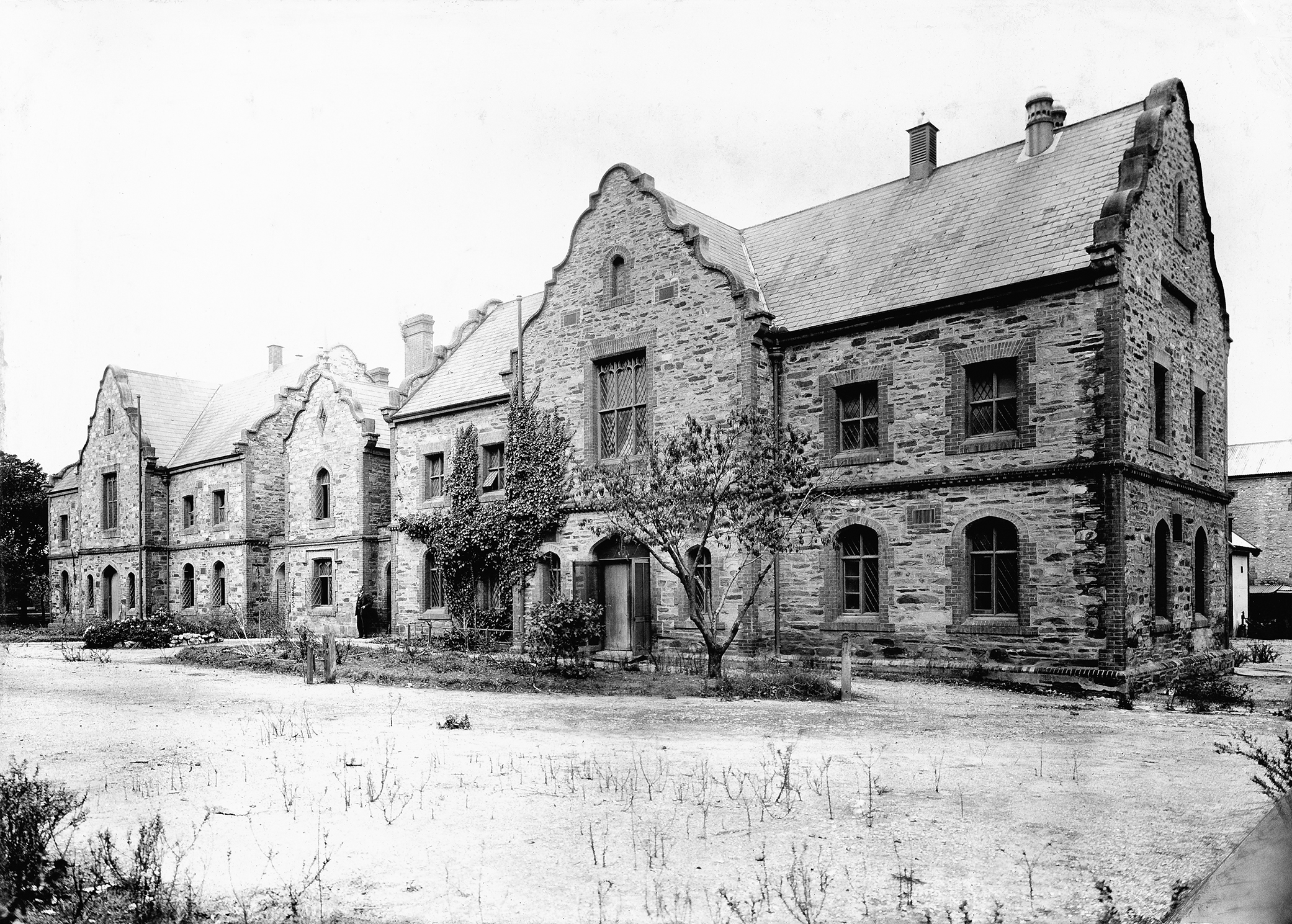 History Festival : Discovering the Destitute Asylum Walking Tour ...